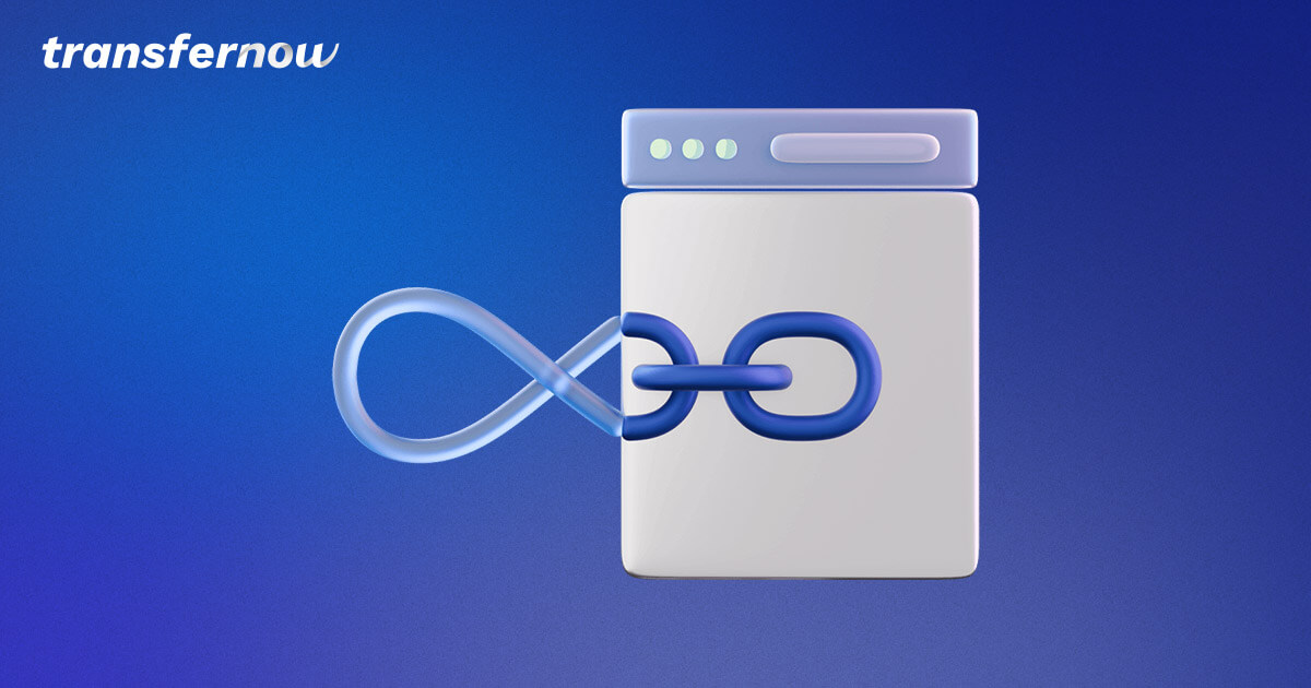 Come Ottenere un Link Sicuro per la Ricezione di File? – TransferNow